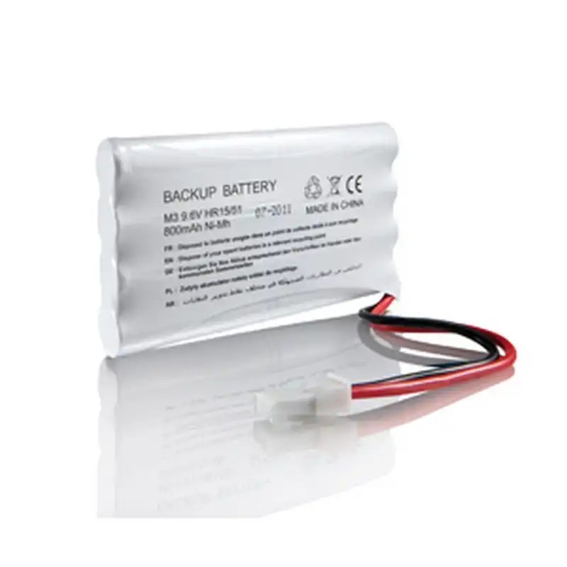 Somfy BACKUP BATTERY for gates and garage doors - Smart Security